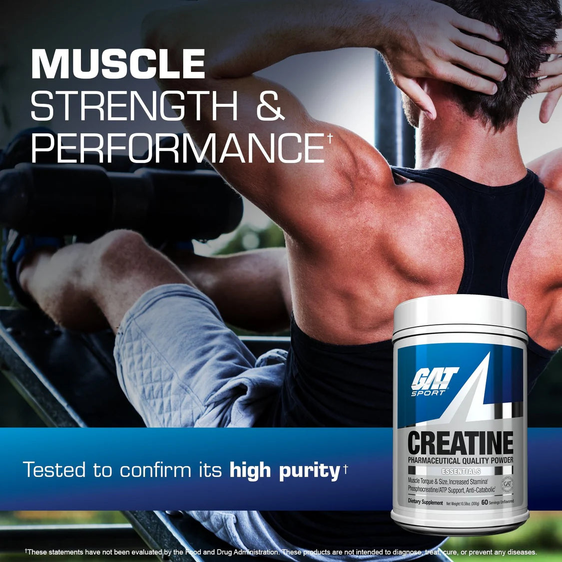 GAT CREATINE MONOHYDRATE 300 gr – FB Supplements